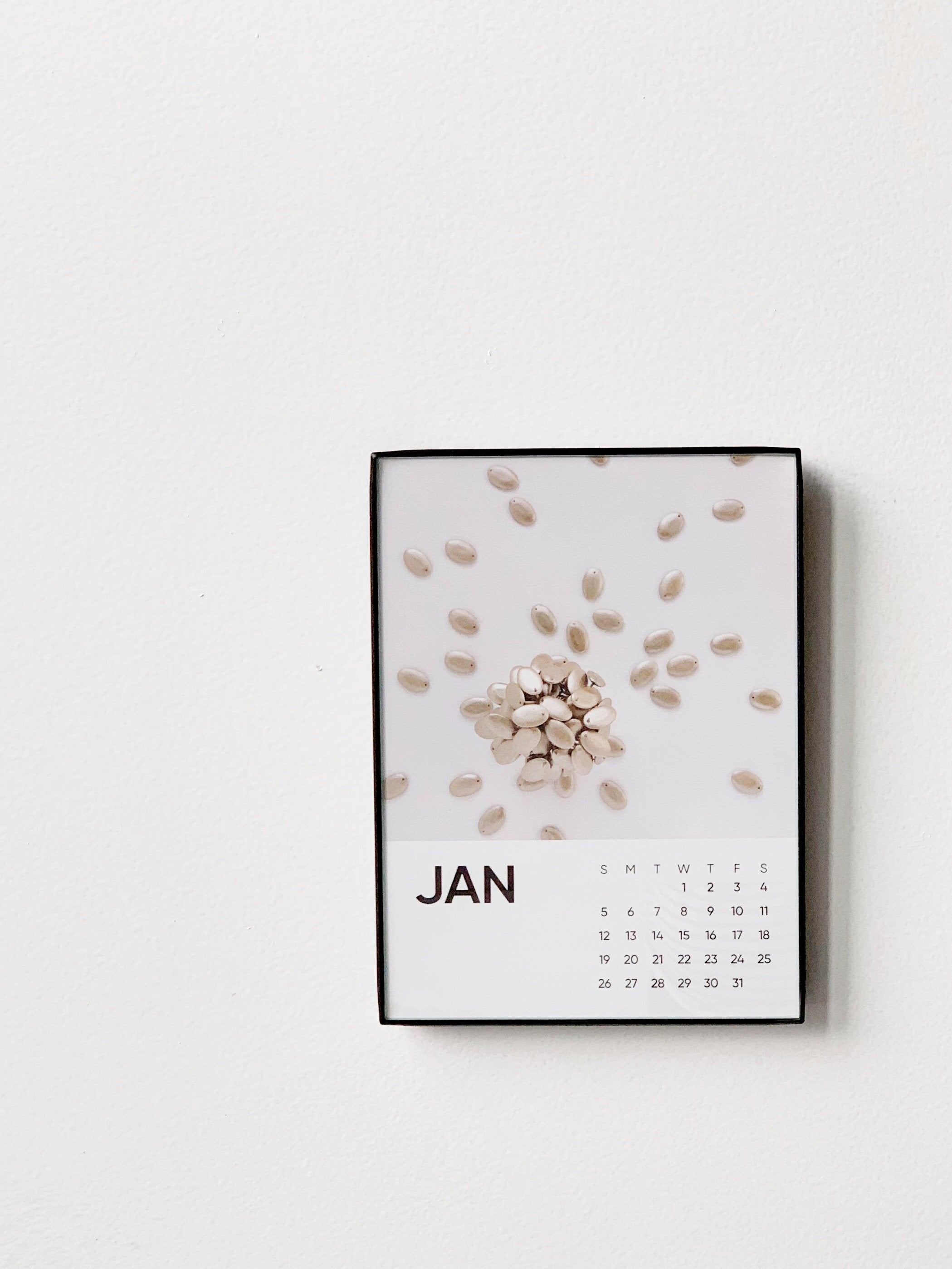 2020 CALENDAR!! – seagrass studio